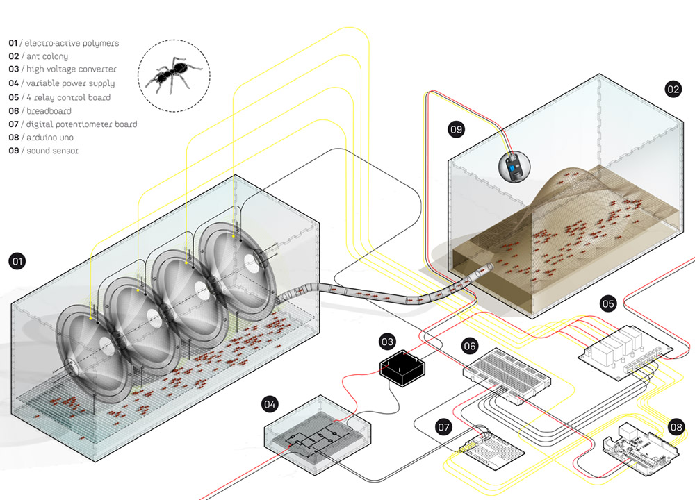 Ant capsule – IAAC Blog