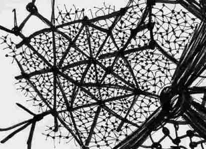 Rhizome- Deleuze | Guattari – IAAC Blog