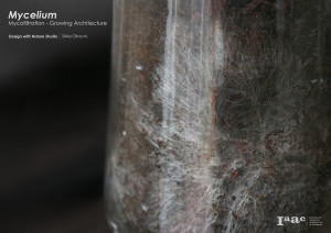 Mycofiltration - Growing Material – IAAC Blog