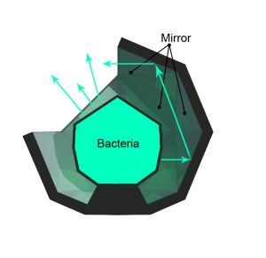 Bio-luminescent Bacteria – IAAC Blog