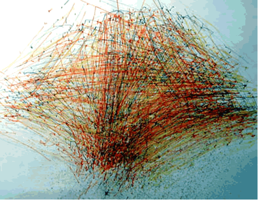 RHIZOMATICS – IAAC Blog