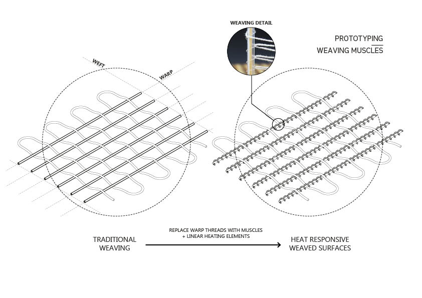Heat Actuated Nylon Muscles – IAAC Blog