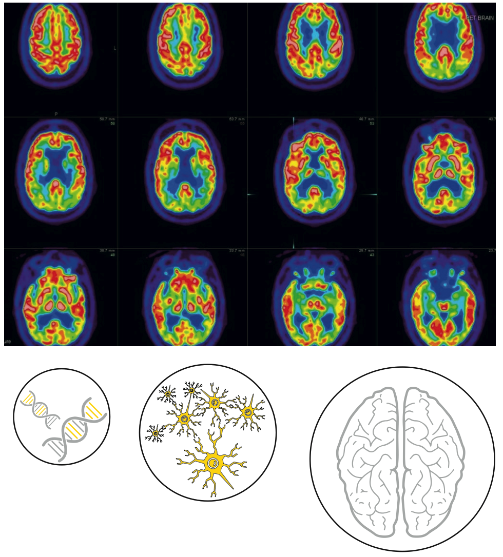 PS.04 Advanced Interaction COLOR-MEMORY Research line. – IAAC Blog