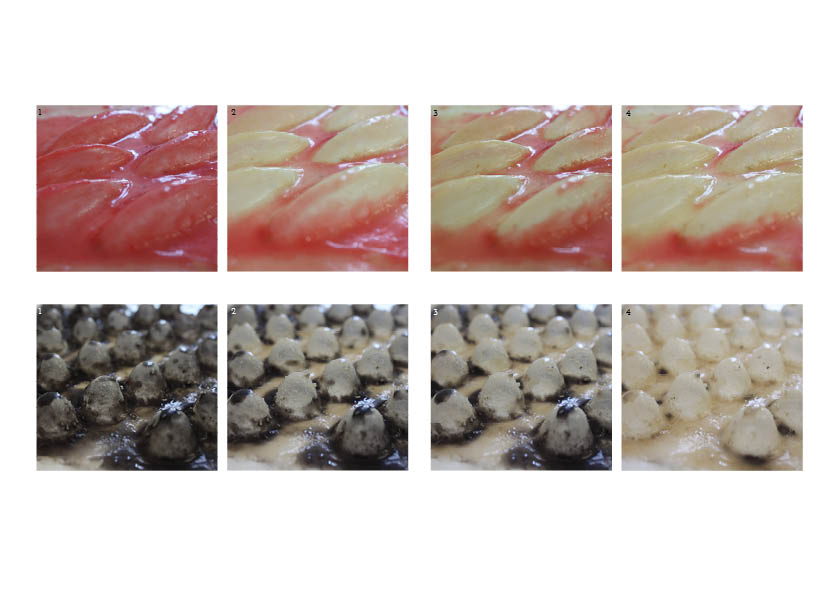 Skins 2 - Encrypted Biometrics – IAAC Blog