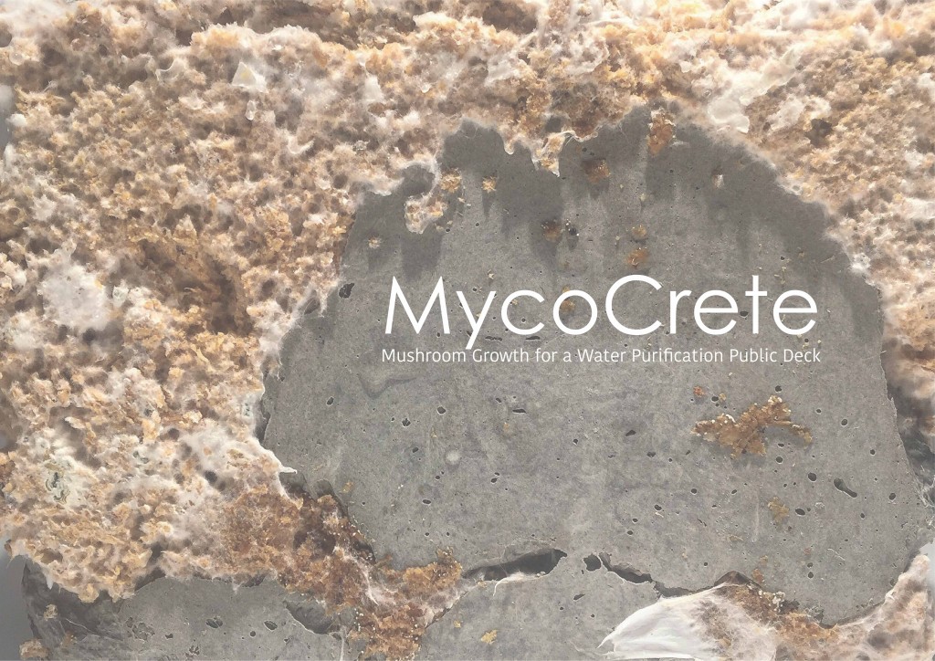 MycoCrete - Mushroom Growth for a Water Purification Public Deck – IAAC ...