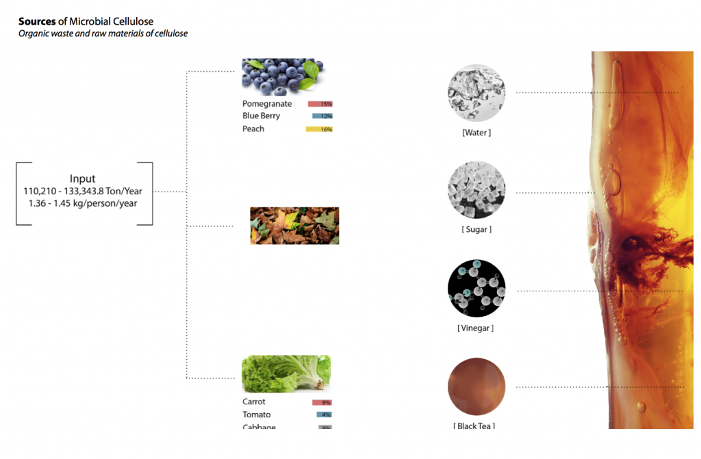 Bio-Fabric | Microbial Cellulose – IAAC Blog