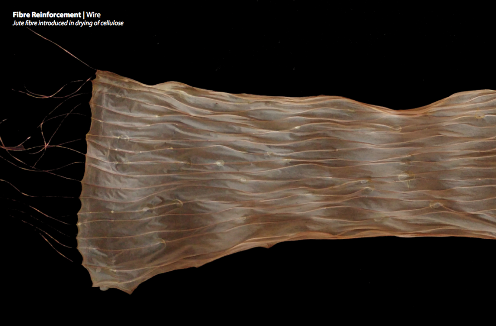 Bio-Fabric | Microbial Cellulose – IAAC Blog