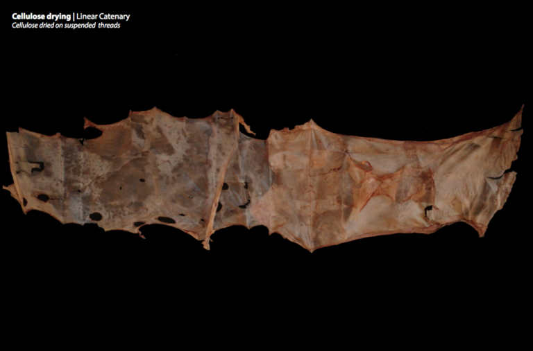 Bio-Fabric | Microbial Cellulose – IAAC Blog