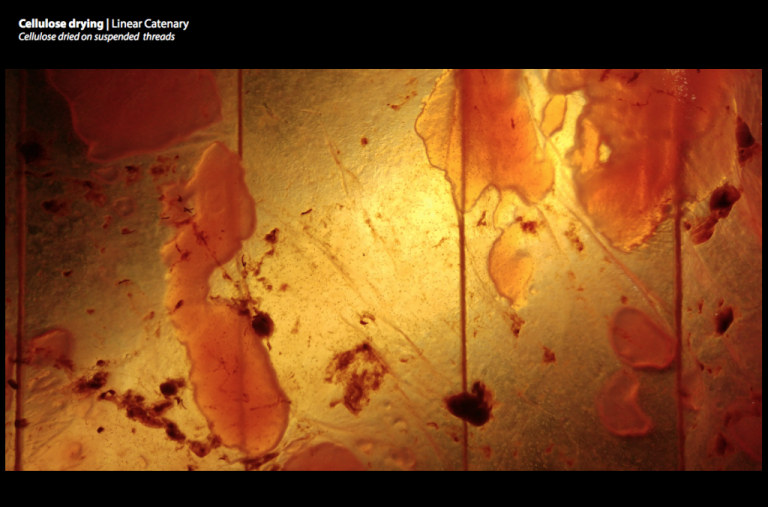 Bio-Fabric | Microbial Cellulose – IAAC Blog