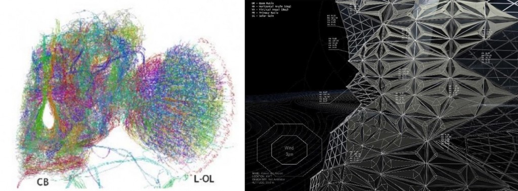 SYLLABUS & FACULTY – IAAC Blog