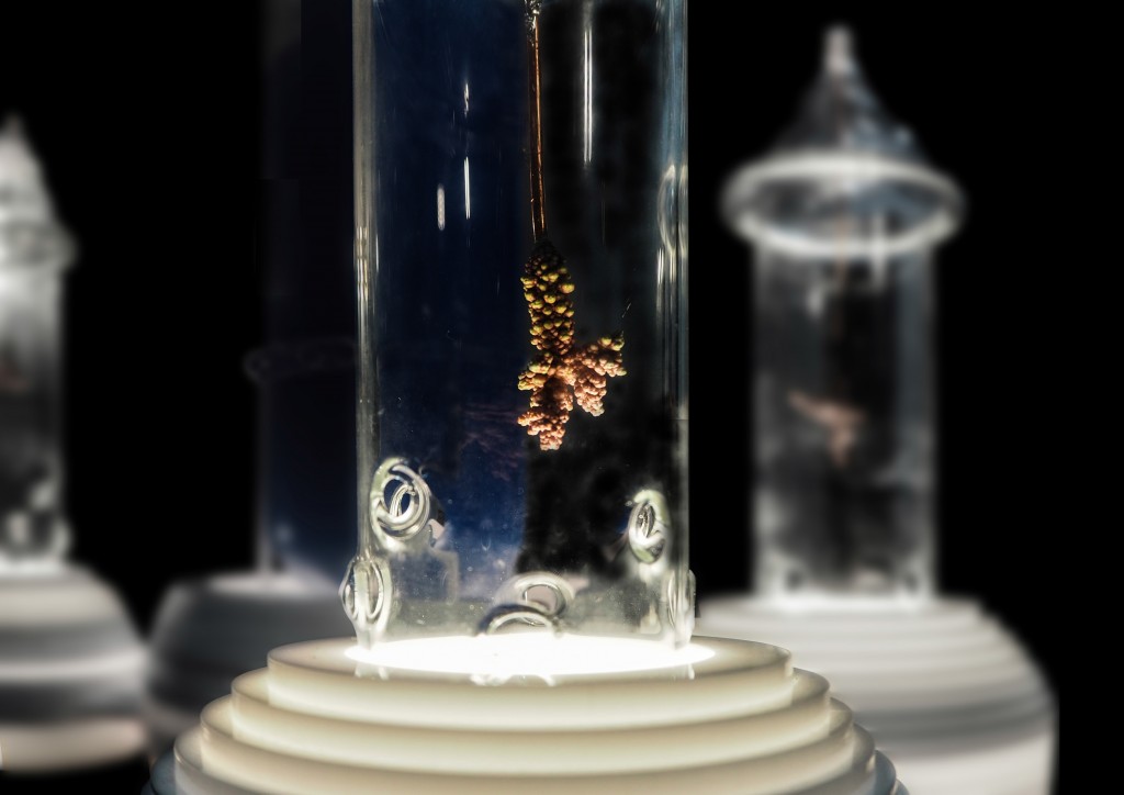 Copper Crystals – IAAC Blog