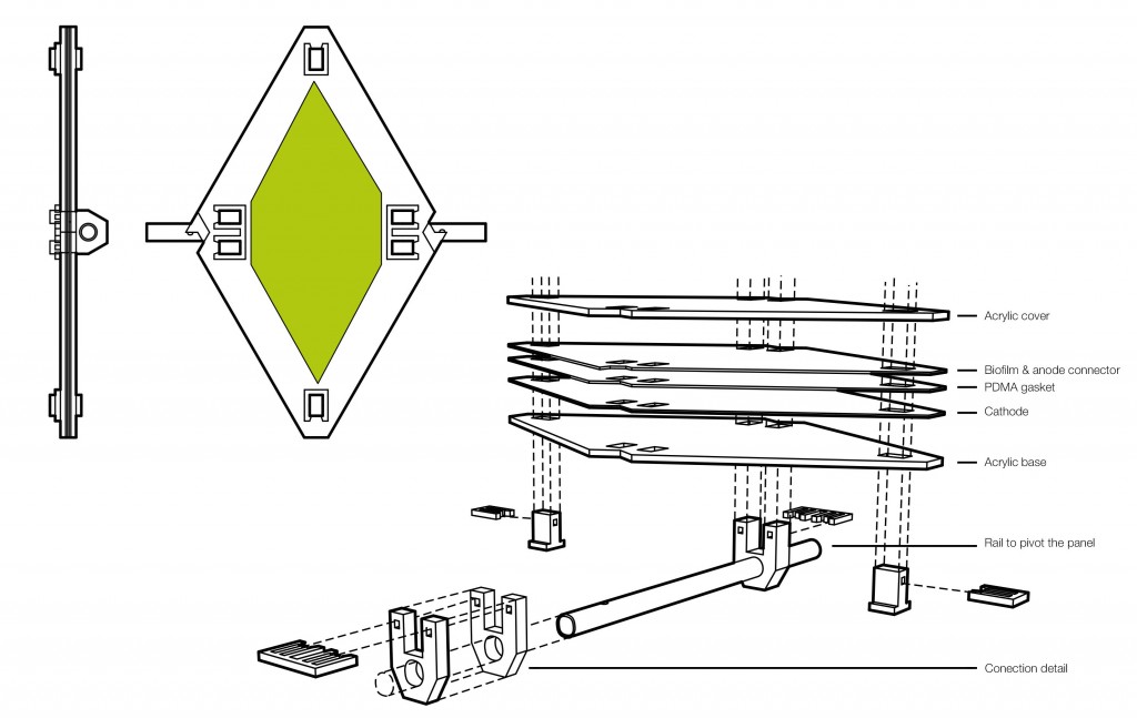 Photosynthetic Algae Cell – IAAC Blog
