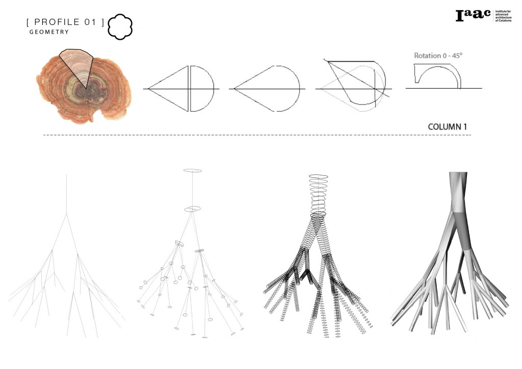 BIFURCATION - SYMBIOSIS – IAAC Blog