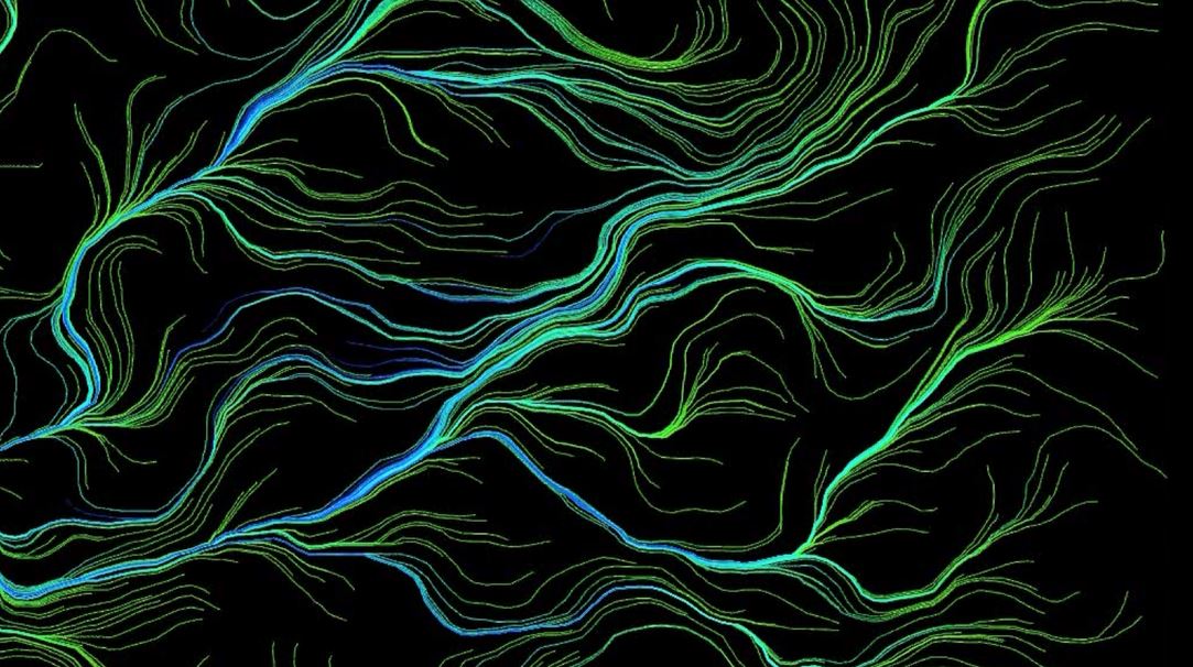 Particles flow field – IAAC Blog