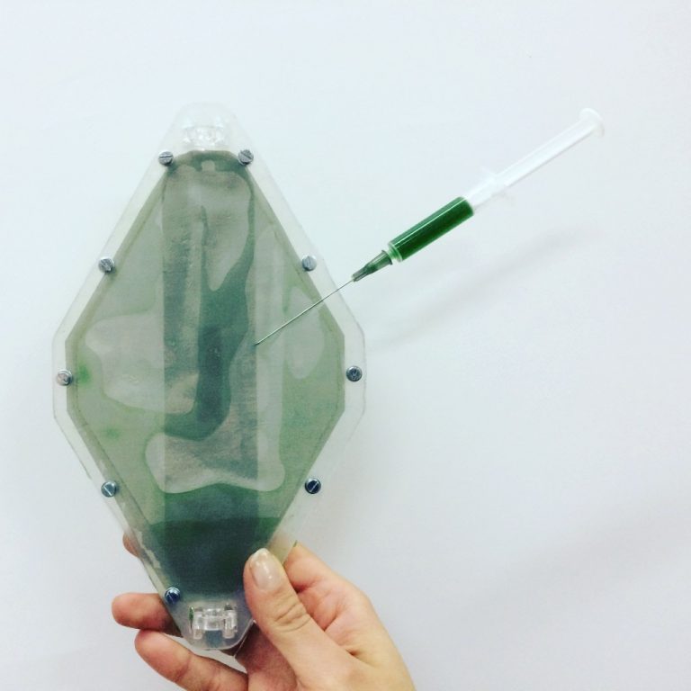 Photosynthetic Algae Cell – IAAC Blog