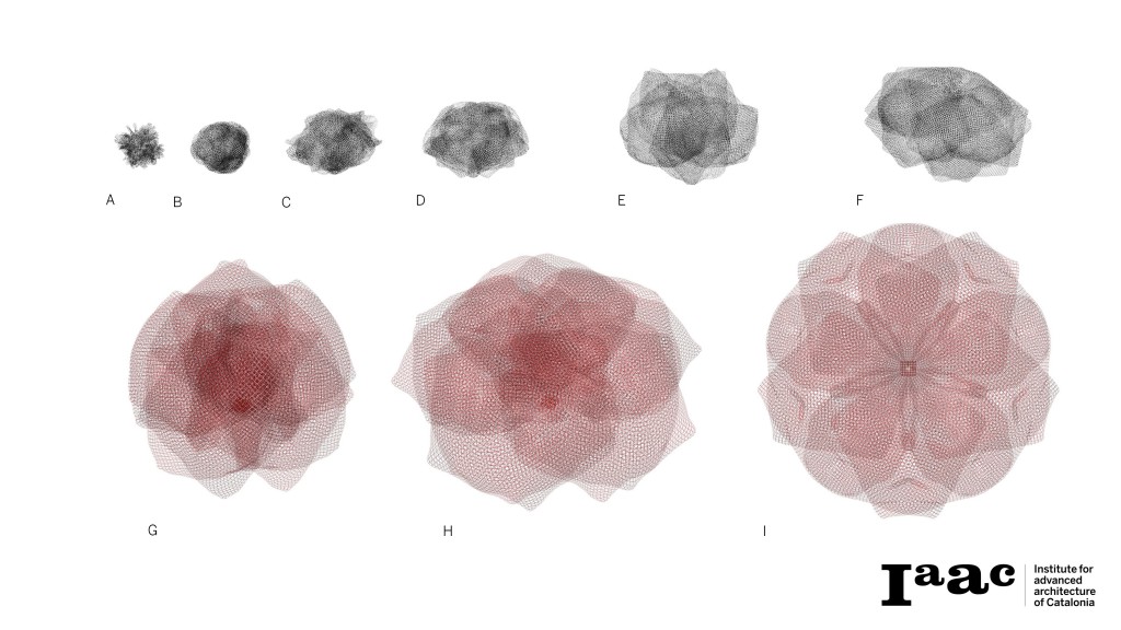 Sonic Bloom – IAAC Blog