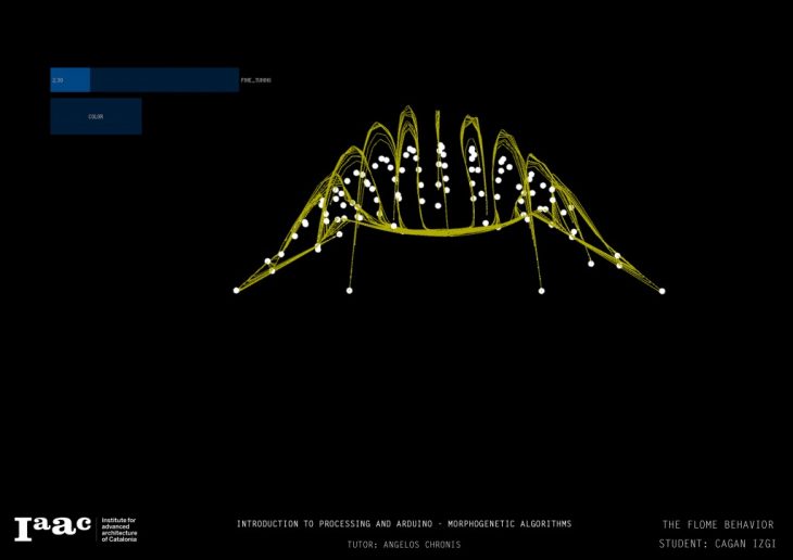 Morphogenetic Sytems - The Flome Behavior – IAAC Blog