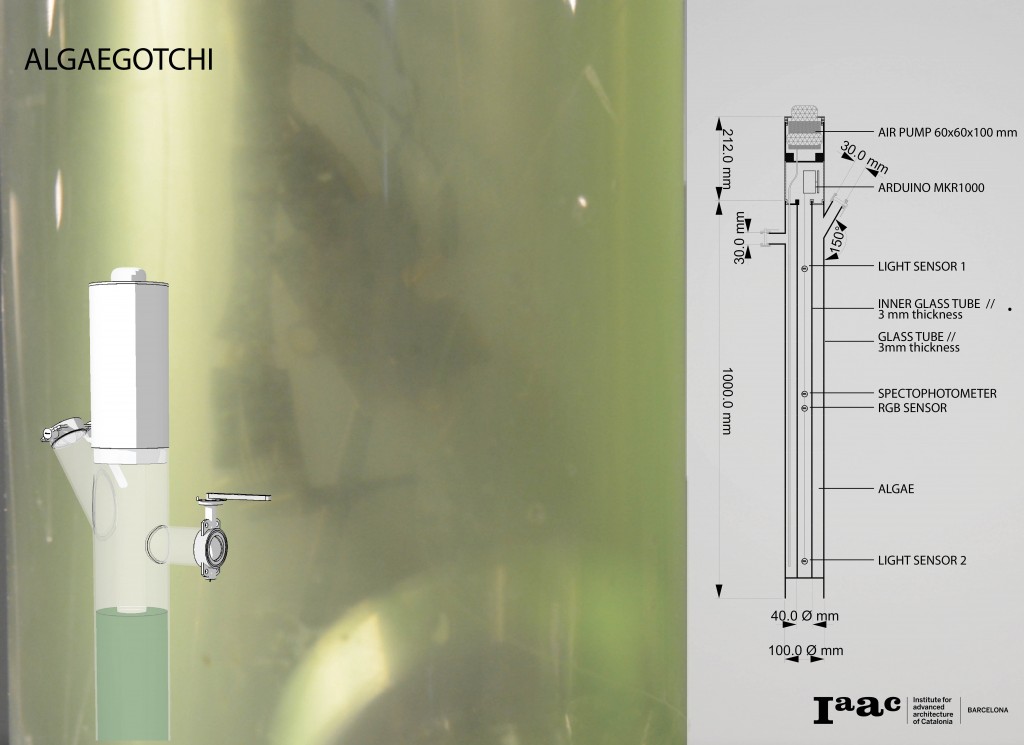 Algaegotchi – IAAC Blog