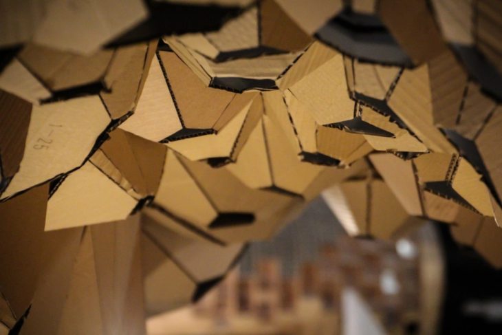 MAA Students Exploring Extreme Possibilities with Cardboard Structures ...