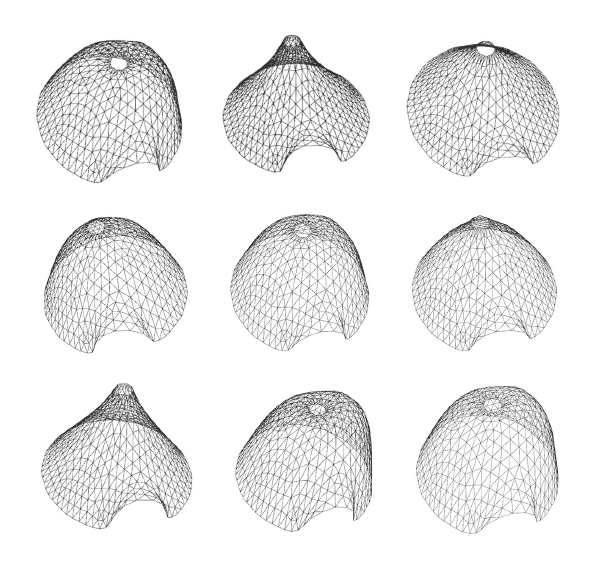 Genetic Optimization – IAAC Blog
