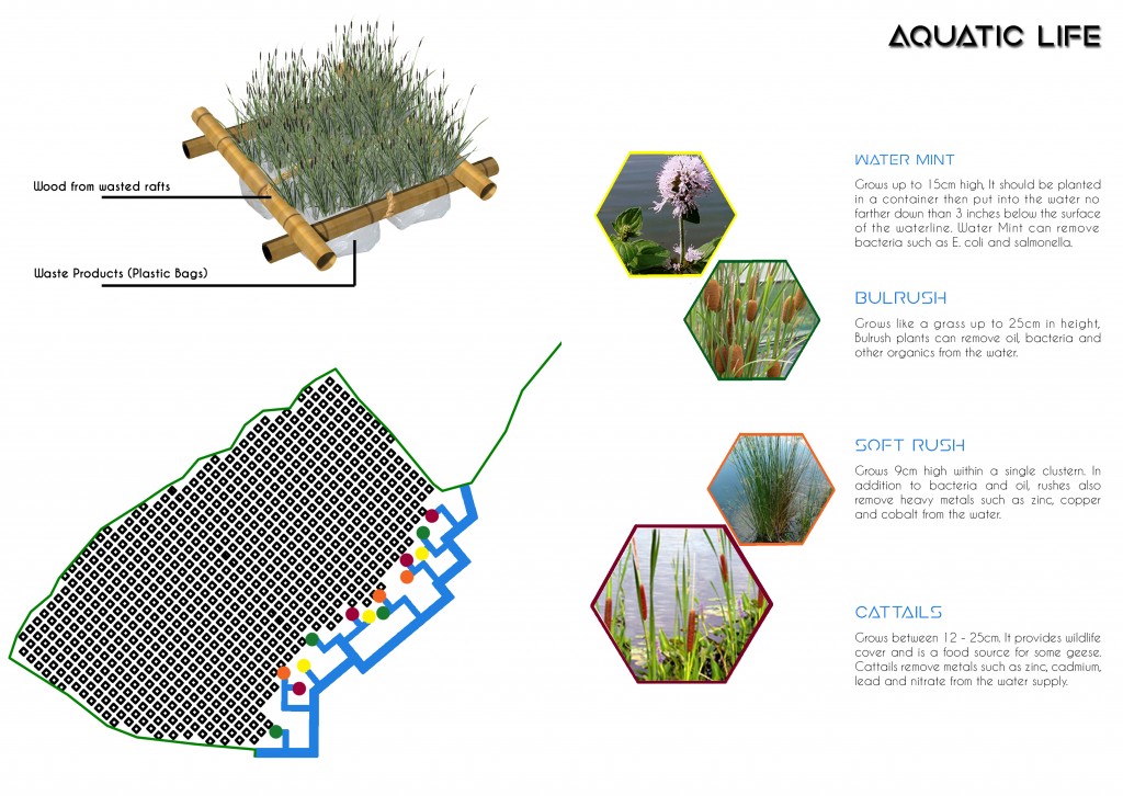 Botanic Aquafilter – IAAC Blog
