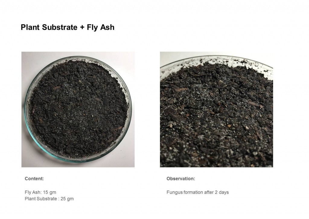 BIO-ASH BRICK: Thesis C-Biome.A – IAAC Blog