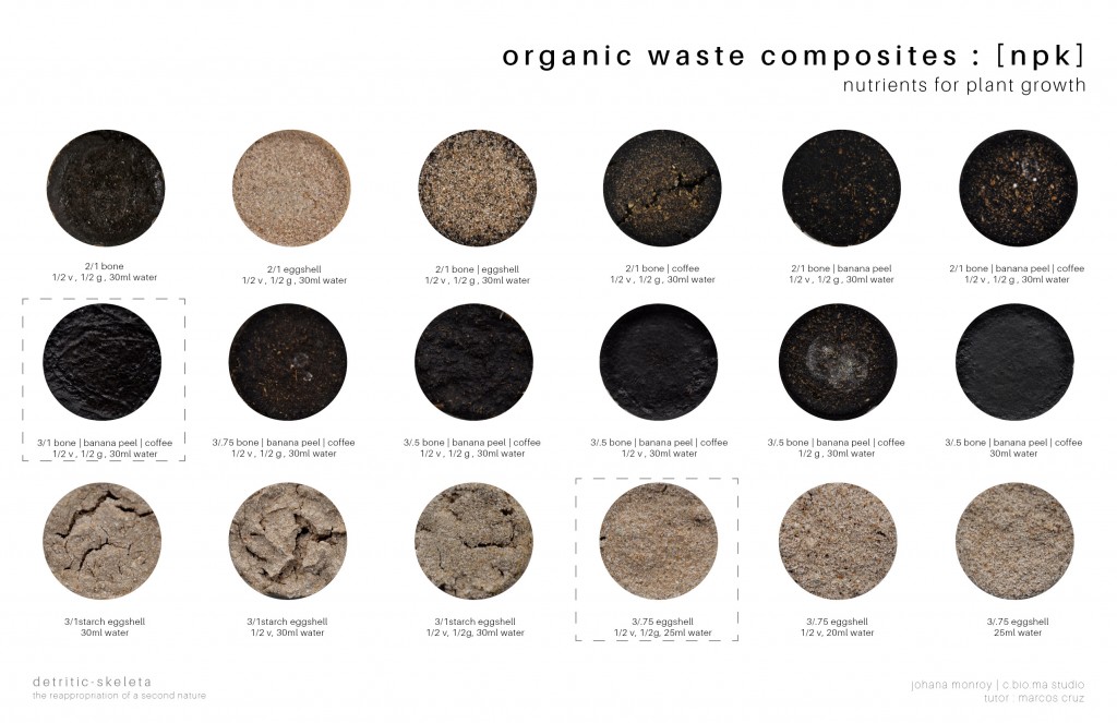 detritic-skeleta : the reappropriation of a second nature – IAAC Blog