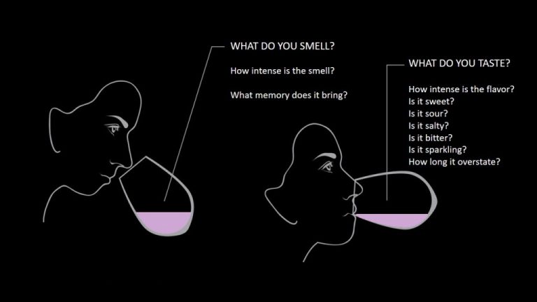 Architecture of taste – IAAC Blog