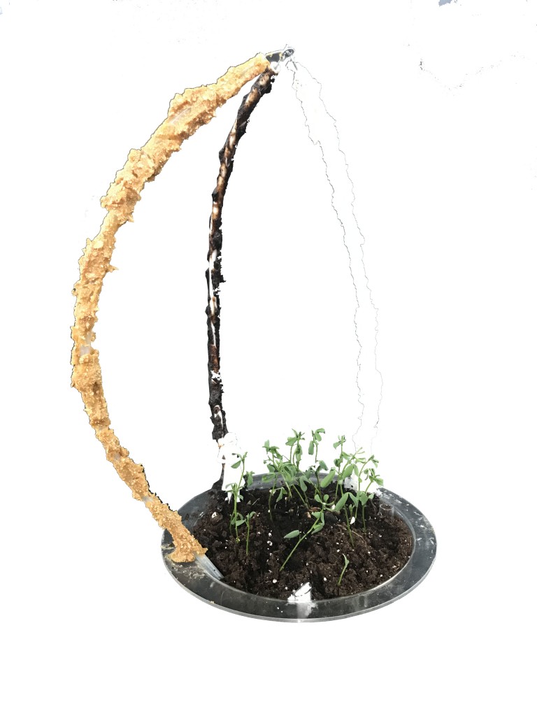 Farming Architecture – IAAC Blog