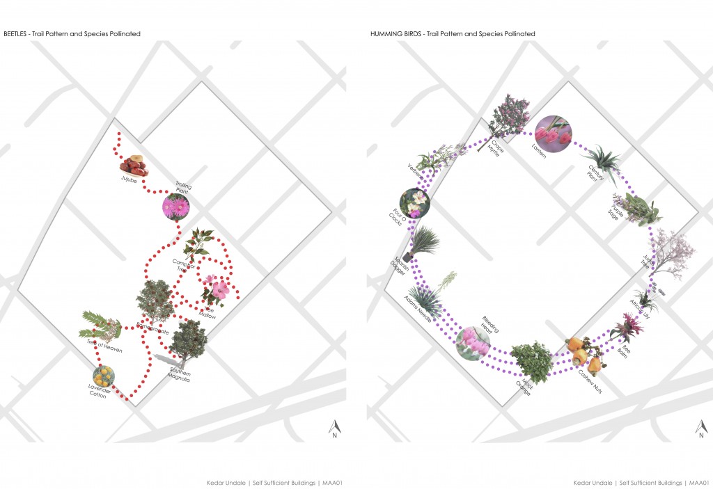 Pollination and Biodiversity – IAAC Blog