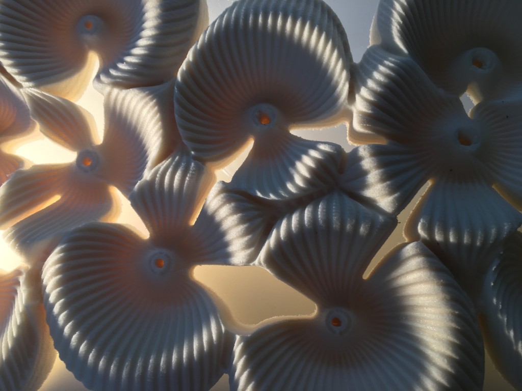 DORMANT WALL// COMPUTATIONAL WORKFLOW – IAAC Blog