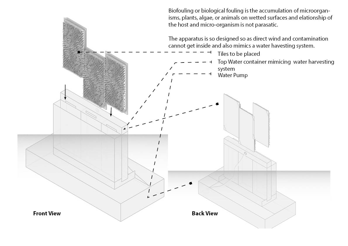 BIO ASH BLOCKS (Infusing the green in the grey) – IAAC Blog