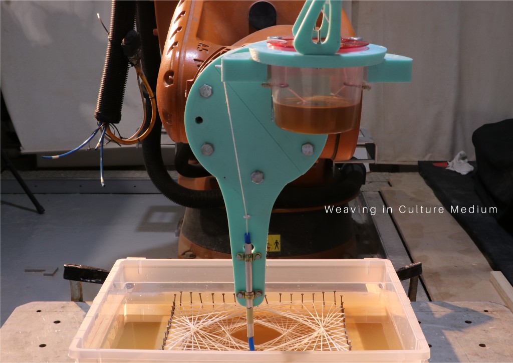 Vibrant Tissue_ Augmented Microbial Cellulose – IAAC Blog