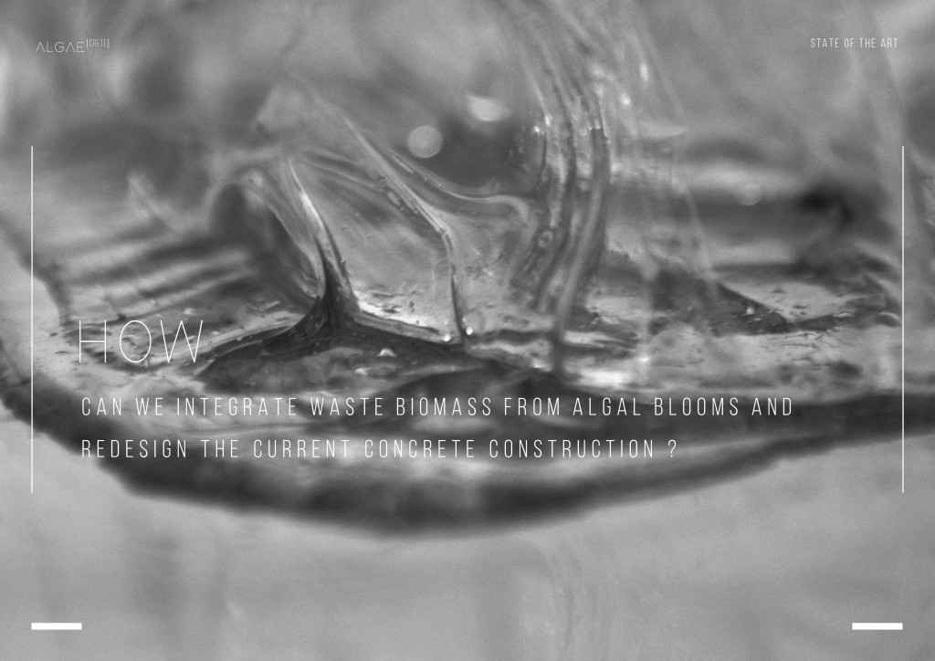 ALGAE[CRETE] | A Tectonic Hylozoism – IAAC Blog