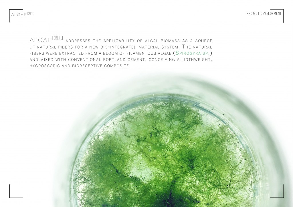 ALGAE[CRETE] | A Tectonic Hylozoism – IAAC Blog