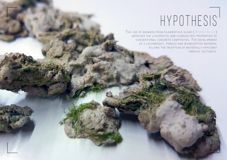 ALGAE[CRETE] | A Tectonic Hylozoism – IAAC Blog