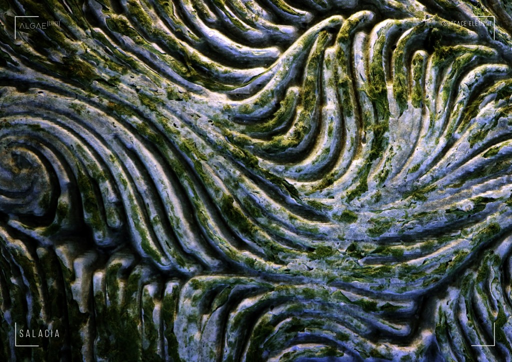 ALGAE[CRETE] | A Tectonic Hylozoism – IAAC Blog