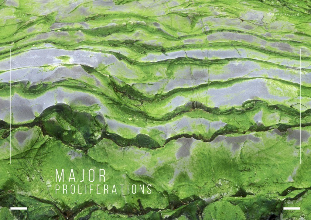 ALGAE[CRETE] | A Tectonic Hylozoism – IAAC Blog