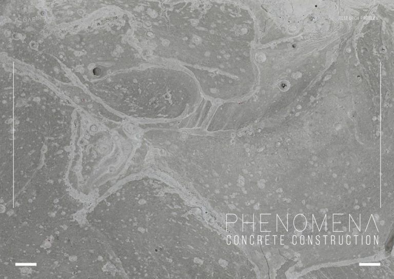 ALGAE[CRETE] | A Tectonic Hylozoism – IAAC Blog