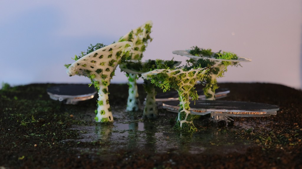 Seed Spawn // An Urban Intervention on Farming for Architecture – IAAC Blog