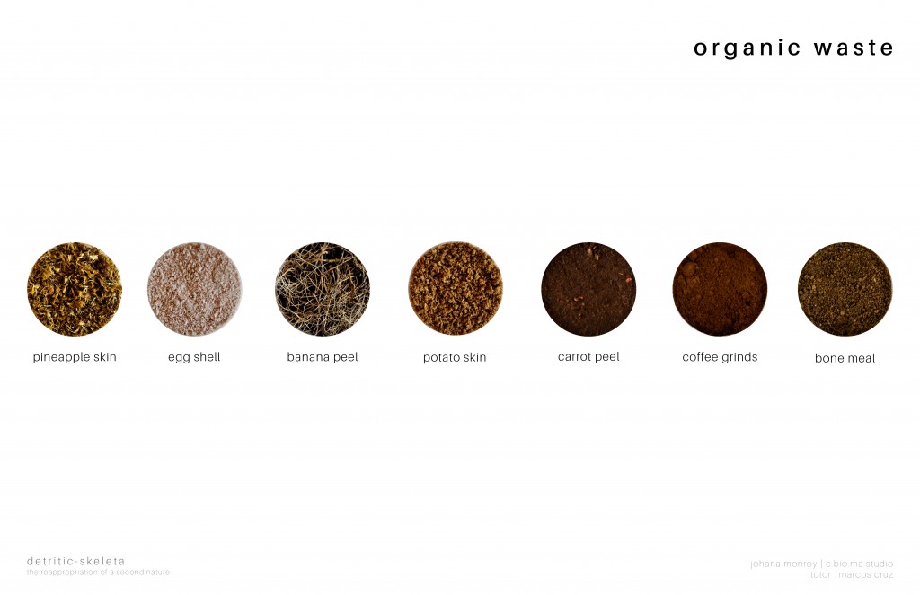 Detritic Skeleta : The Re-appropriation of a Second nature – IAAC Blog