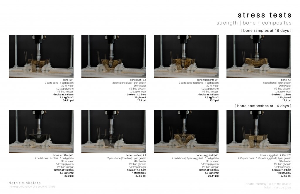 Detritic Skeleta : The Re-appropriation of a Second nature – IAAC Blog