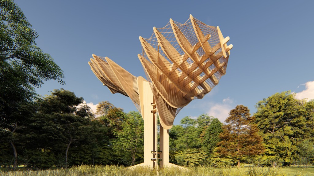 Cantharellus Melanoxeros. Formulation of a Wooden Spatial Hypothesis ...