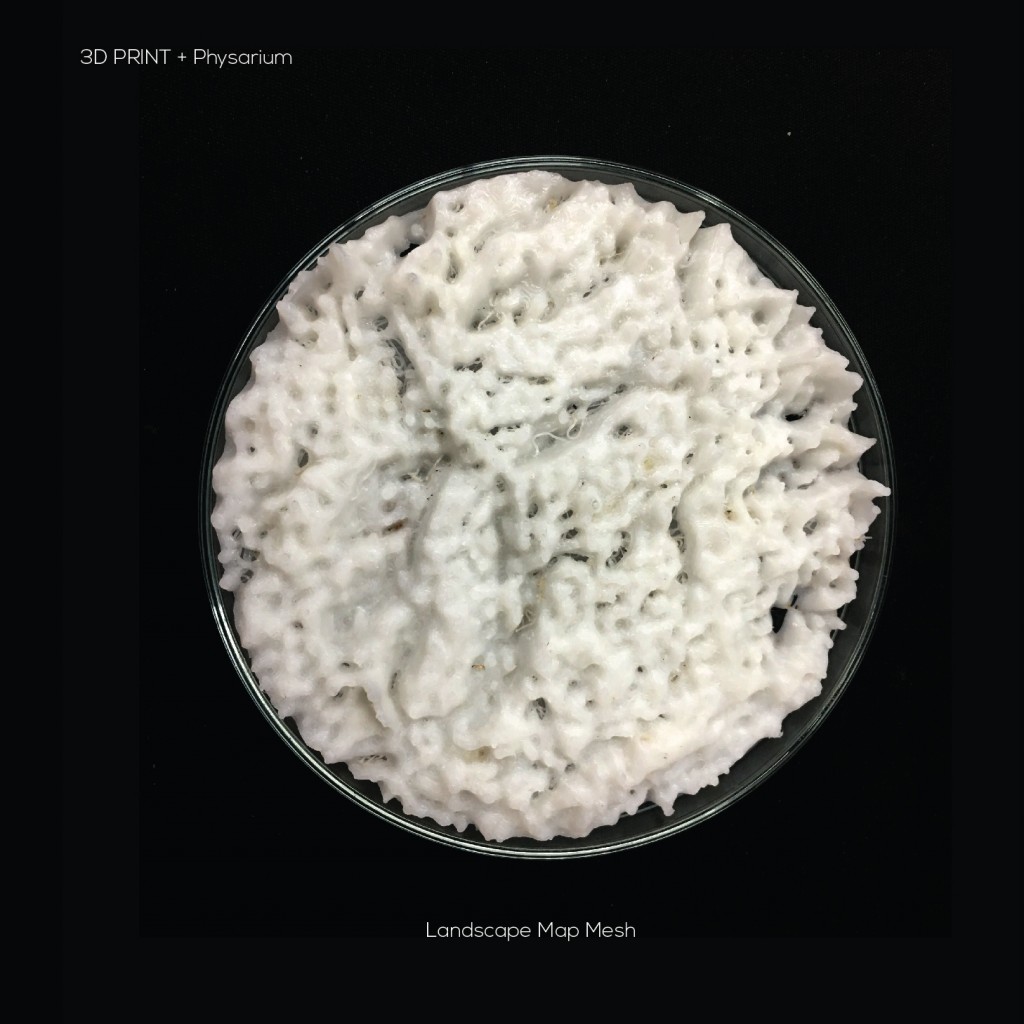 Wet.Ware BCN – IAAC Blog