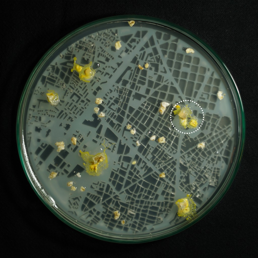 WET.WARE BARCELONA – IAAC Blog