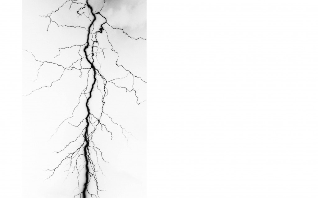 bifurcation_branching_nature