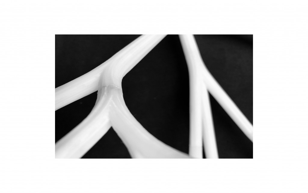 bifurcation_branching_nature