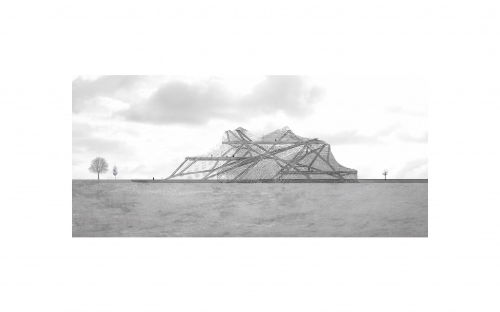 bifurcation_branching_nature