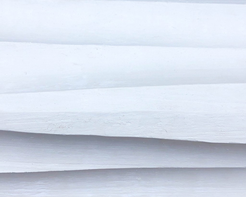 bifurcation_branching_nature