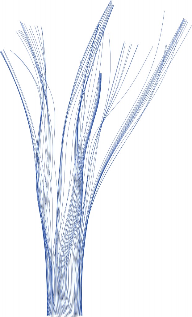 RECURSIVE GROWTH – IAAC Blog